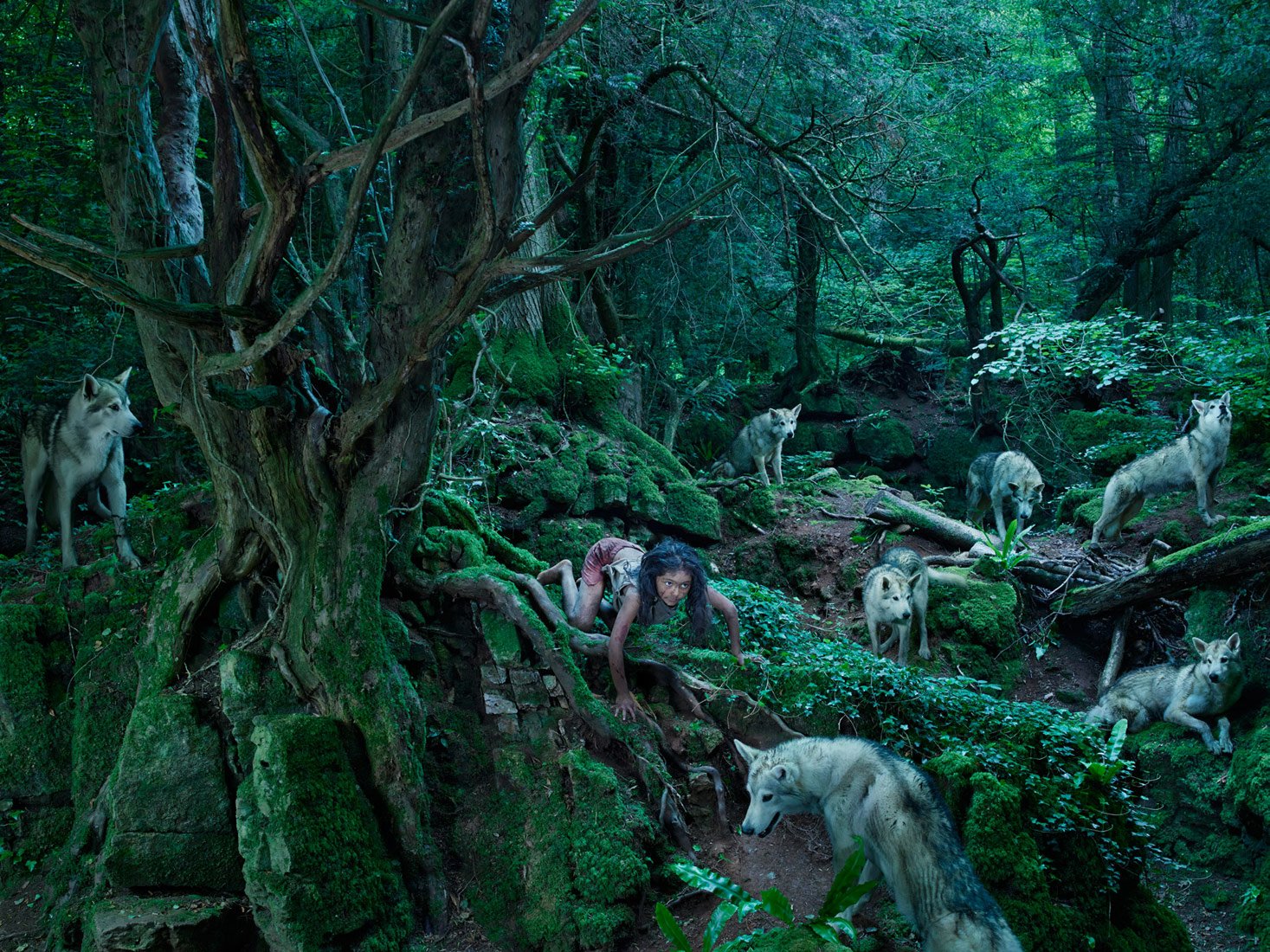 Enchanted Forest Guardians: A Fantasy Fairy Tale HD Wallpaper by Julia ...