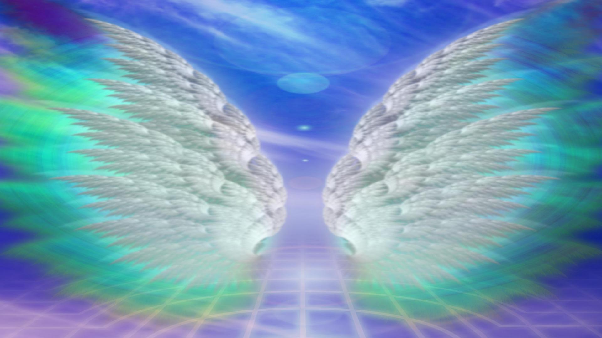 Celestial White Wings: Artistic Fantasy HD Wallpaper