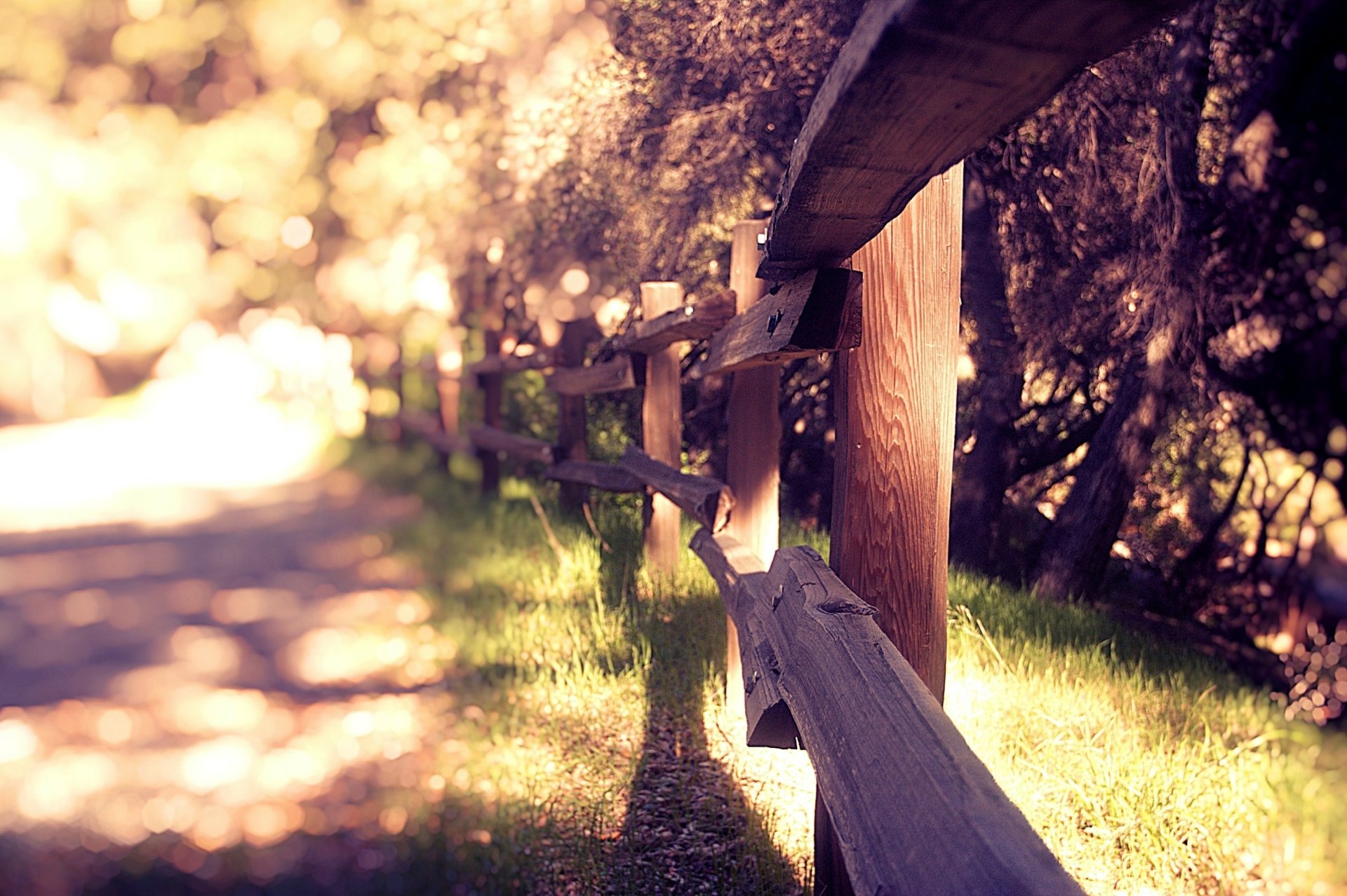 Download Man Made Fence HD Wallpaper