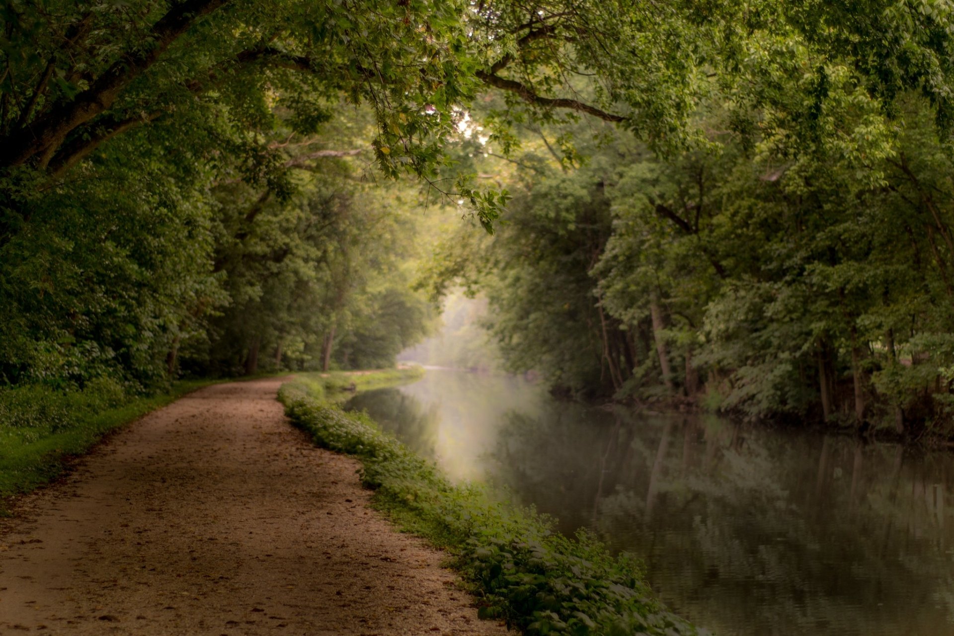 Serene Forest Path Along a Tranquil River – HD Nature Wallpaper