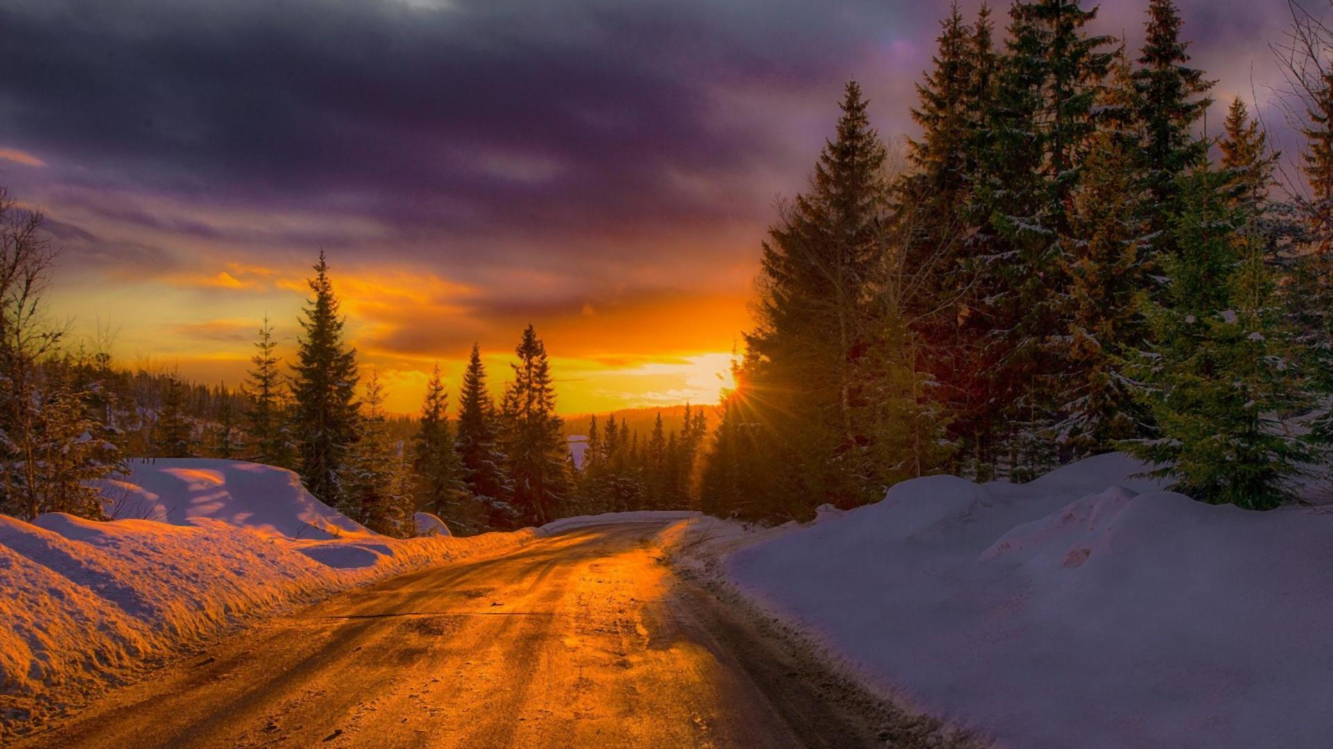 Download Sky Sunset Snow Tree Road Nature Winter HD Wallpaper