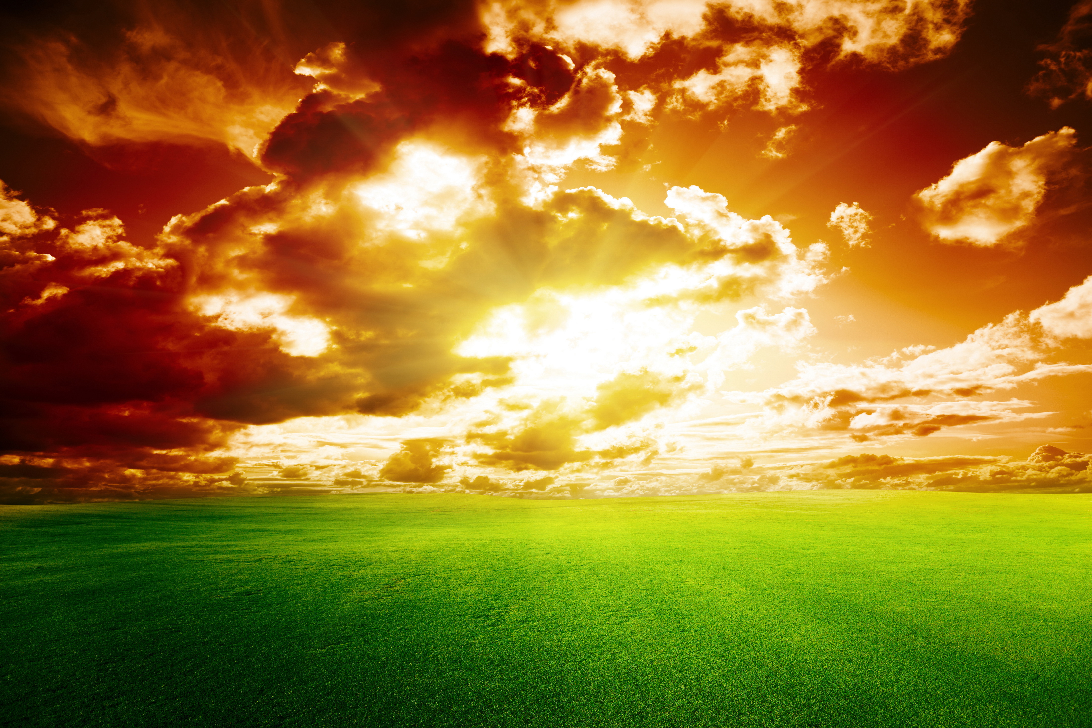 Download Grass Sky Cloud Horizon Landscape Nature Sunset 4k Ultra HD ...