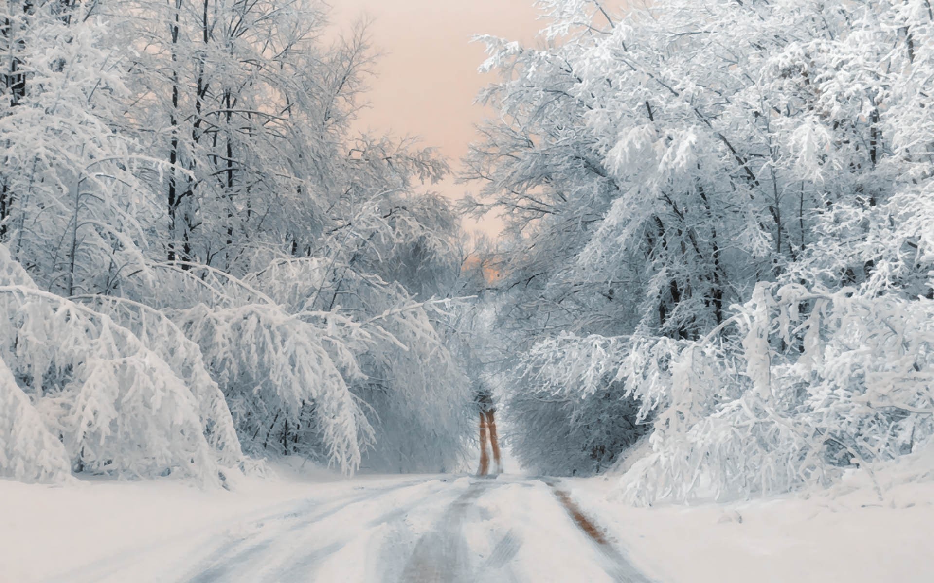 Download Snow Tree Road Nature Winter HD Wallpaper