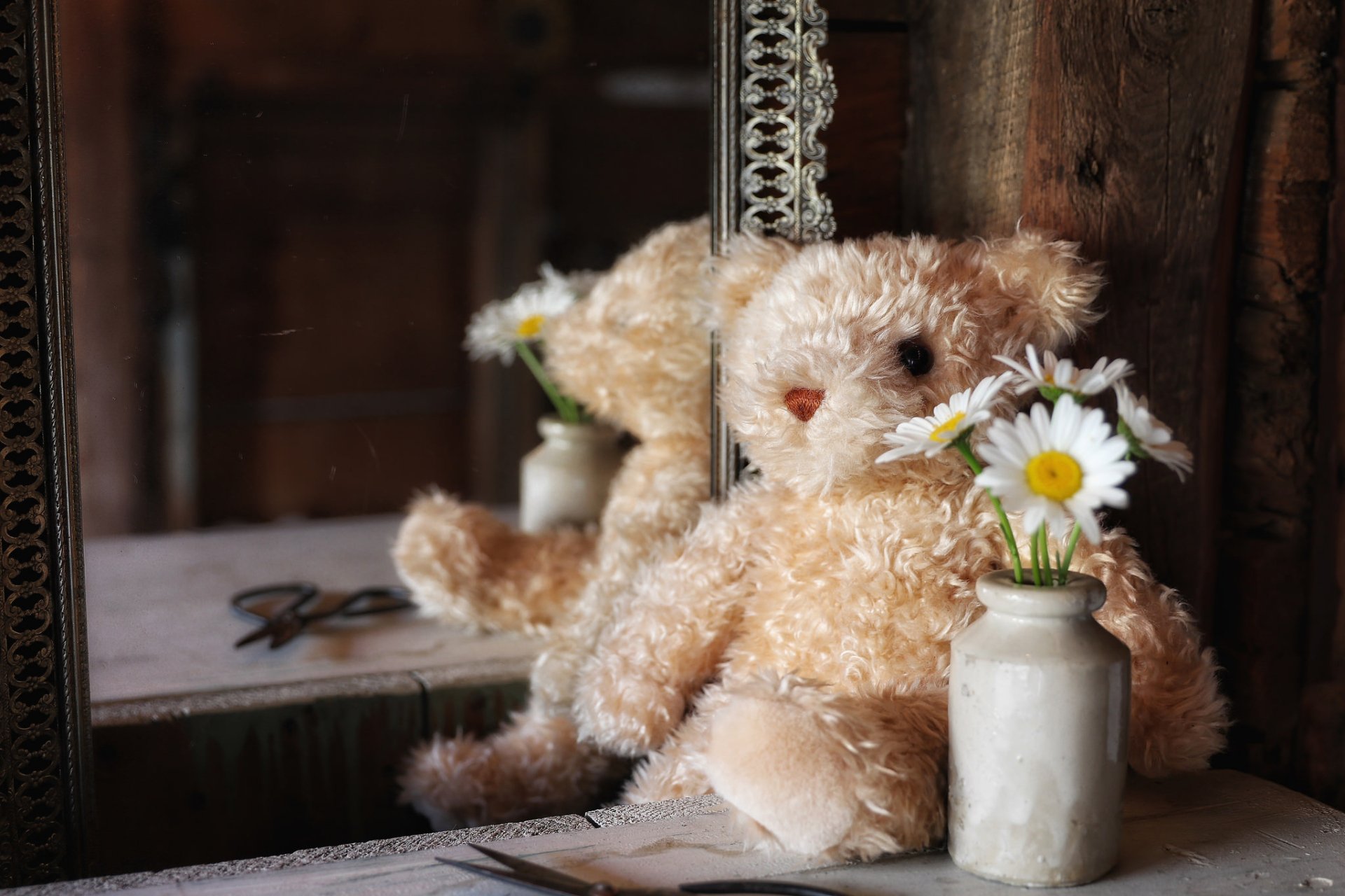 Download Reflection Mirror Teddy Bear White Flower Man Made Stuffed ...