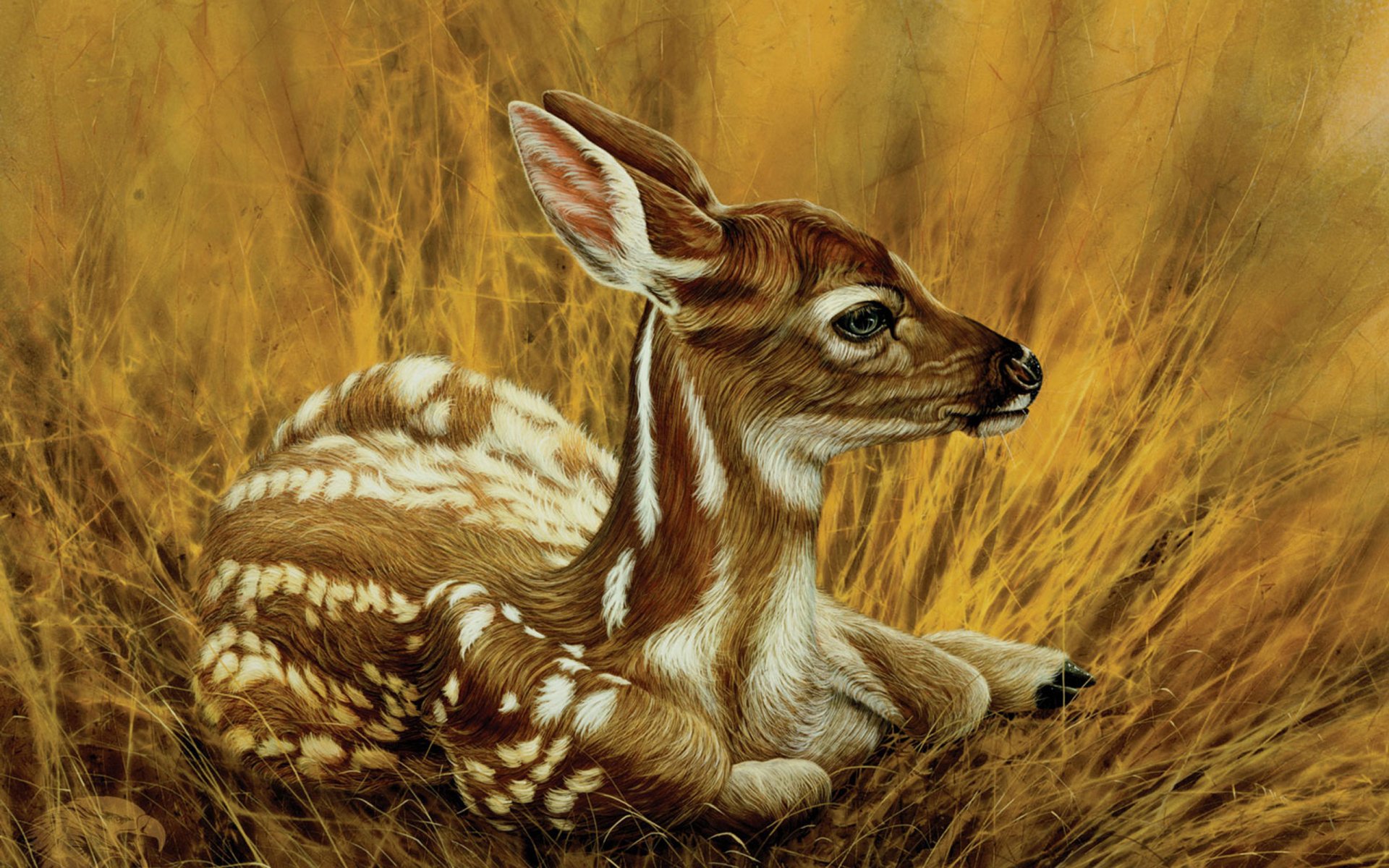 Majestic Fawn: HD Baby Deer in Golden Grass Wallpaper