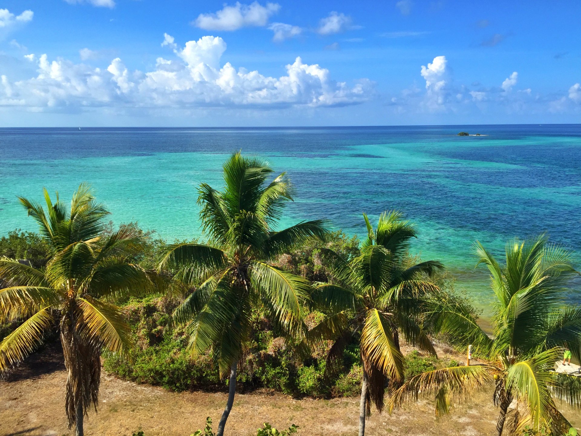 2K Quad HD: Tropical Horizon — Palm‑Fringed Ocean Sky | 3000x2250 ...