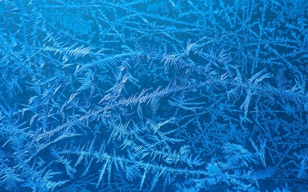 Frost - Desktop Wallpapers, Phone Wallpaper, PFP, Gifs, and More!