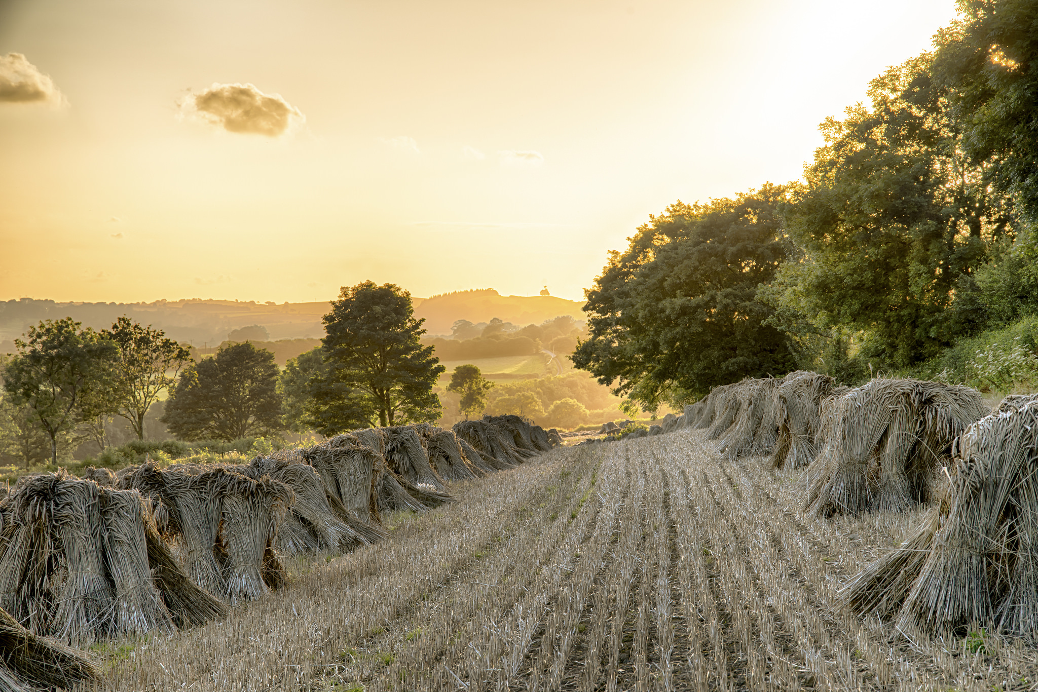 Haystack HD Wallpaper