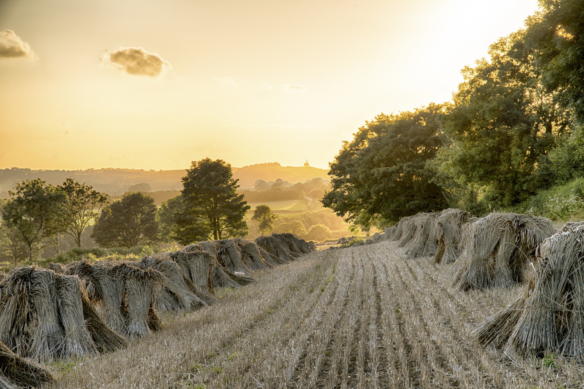 Download Summer Landscape Field Nature Haystack HD Wallpaper