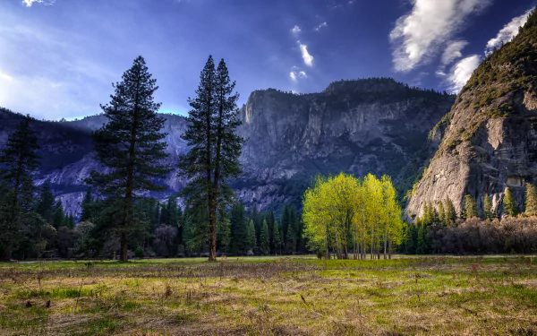 [30+] National Park 4k Wallpapers