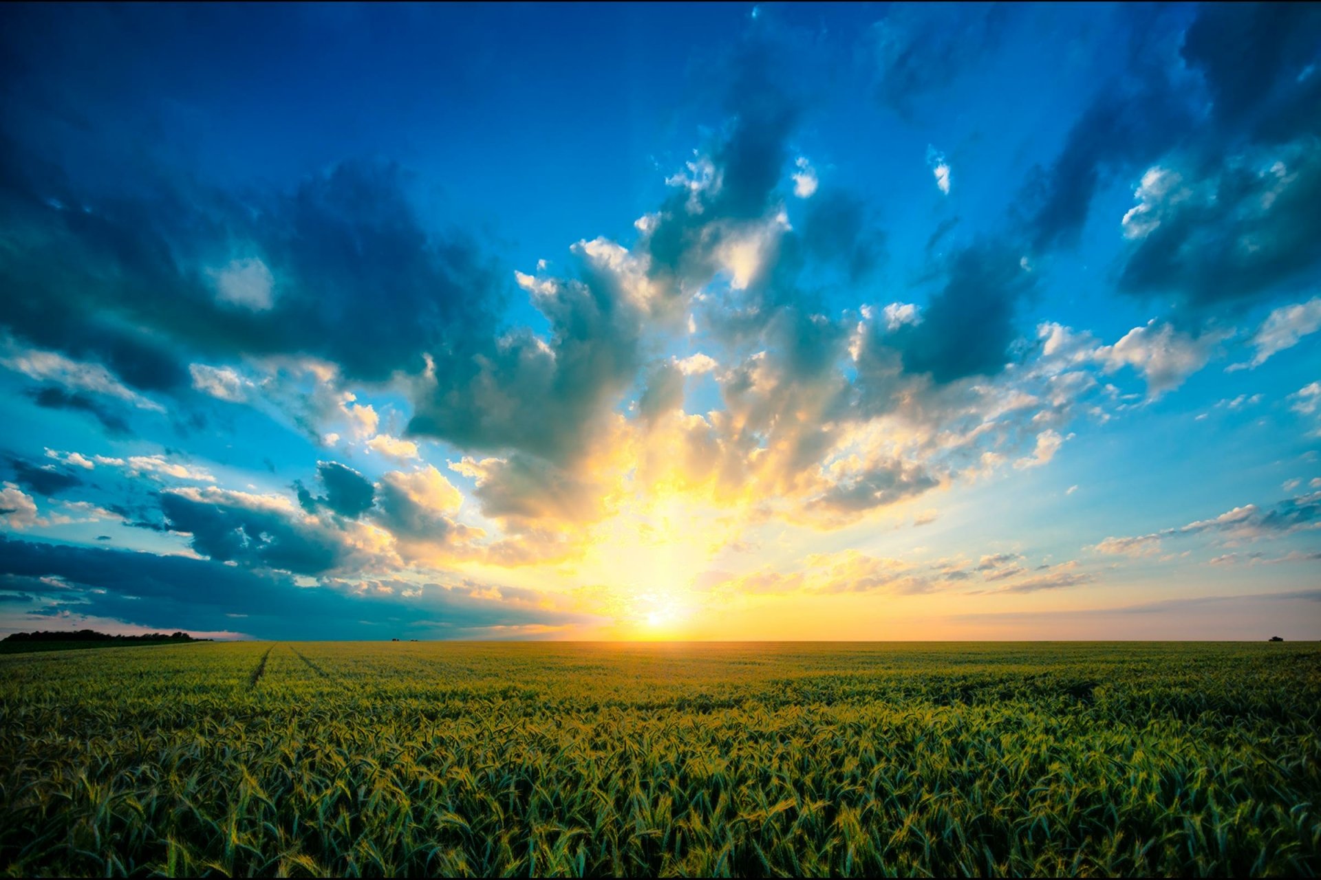 Radiant Sunset Over Serene Fields – HD Nature Wallpaper