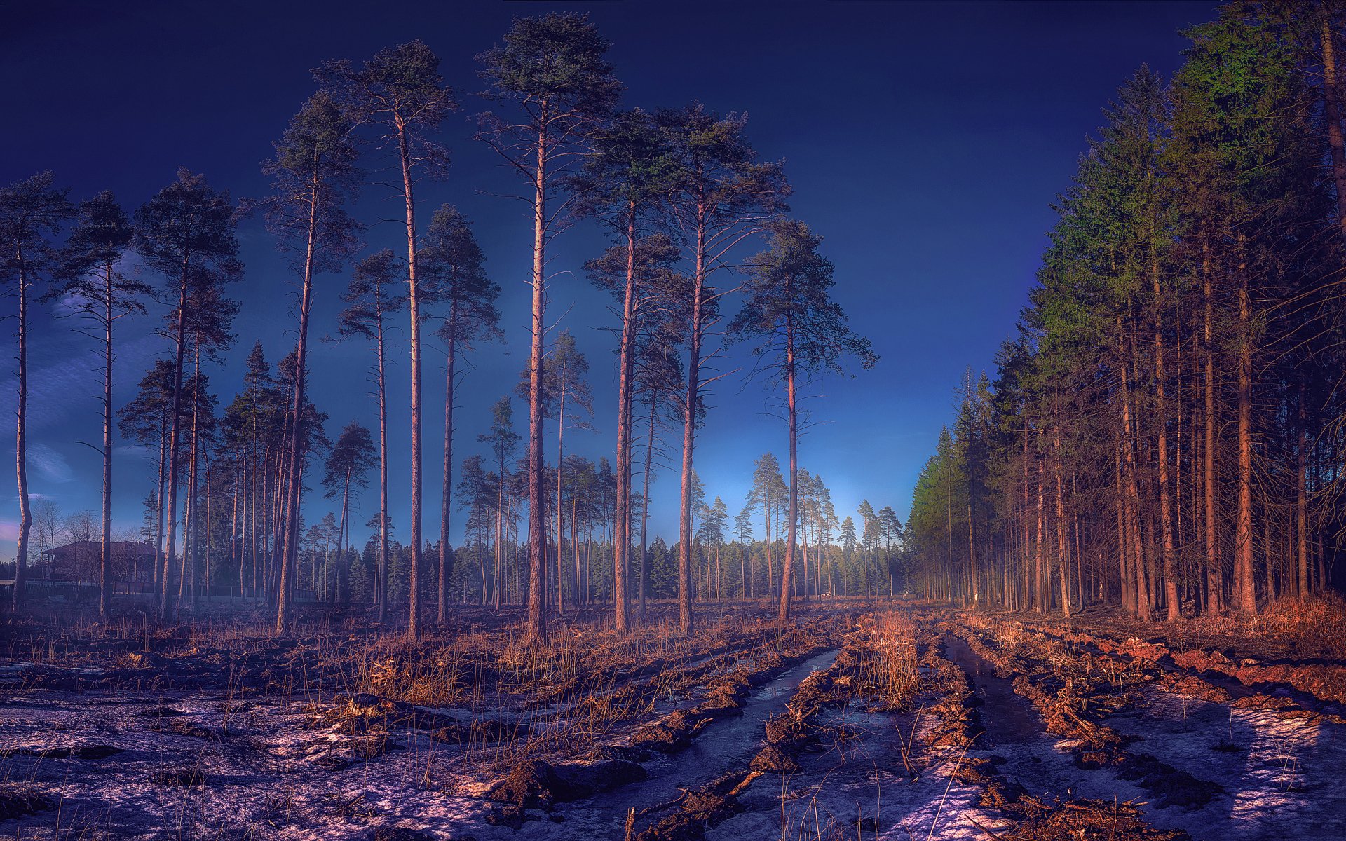 Mystical Russian Forest in Autumn HD Wallpaper | 3200x2000 | Wallpaper ...