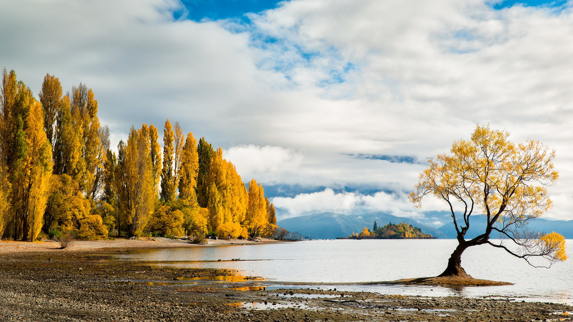Serene Lakeside Autumn: HD Nature Landscape with Trees and Clouds