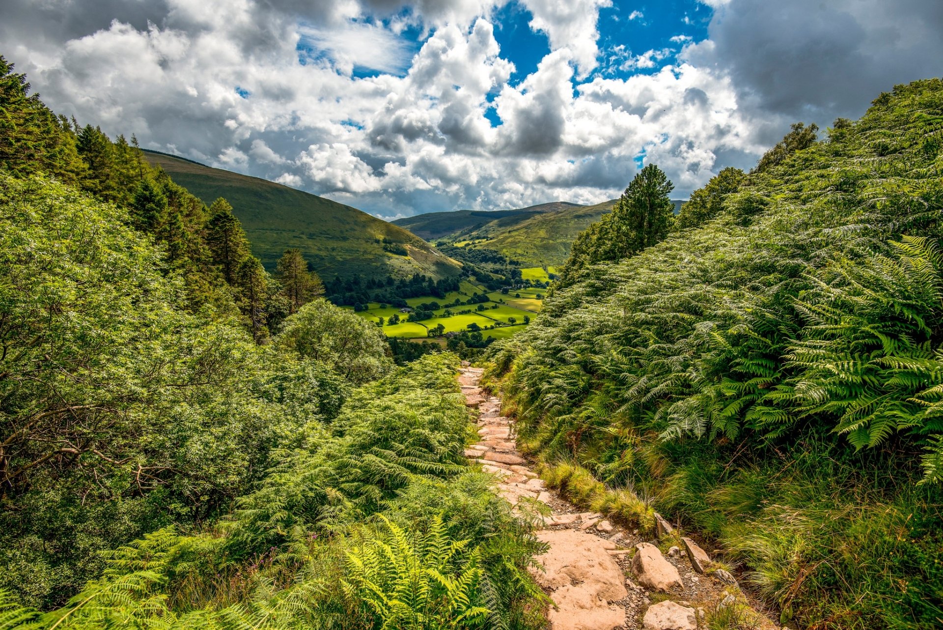 Download Hill Cloud Fern Landscape Nature Path HD Wallpaper
