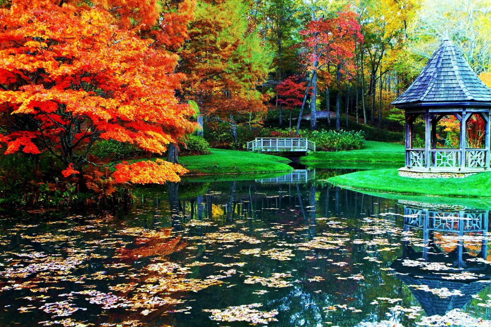 Download Reflection Pond Tree Fall Park Man Made Gazebo Wallpaper