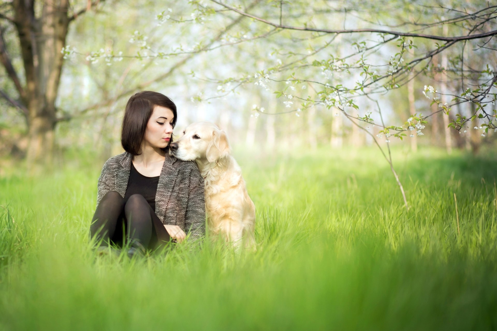 Download Brunette Spring Sunny Grass Golden Retriever Dog Woman Mood HD ...
