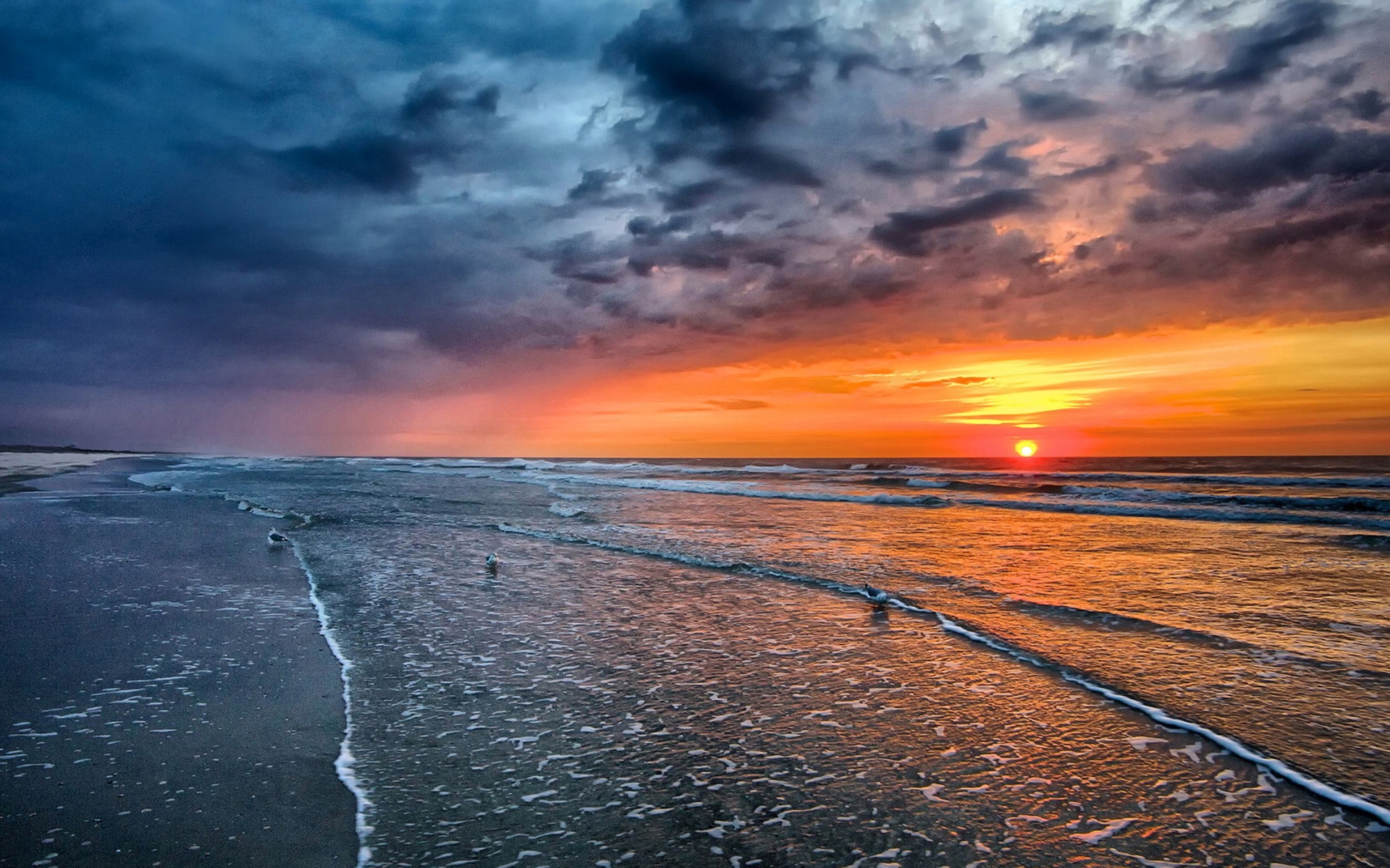 Download Horizon Sun Sunset Sea Ocean Nature Beach HD Wallpaper