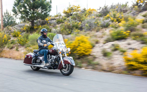 Indian Springfield Wallpapers