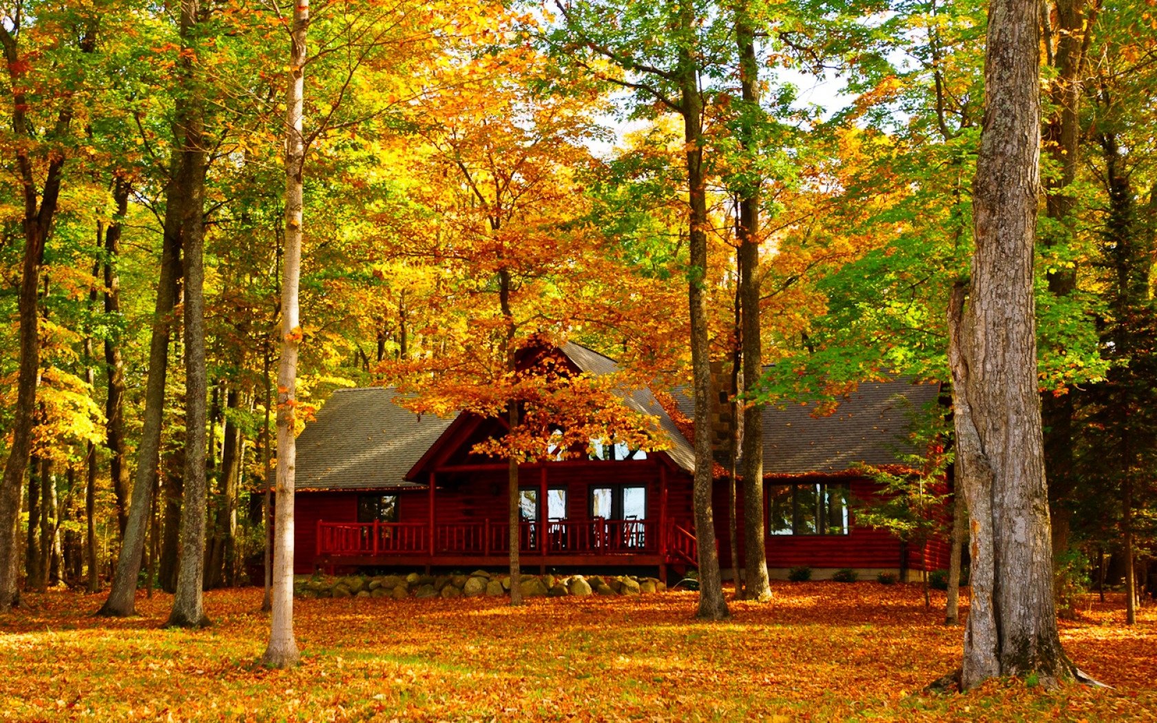 Download Tree Fall Forest Man Made House Wallpaper