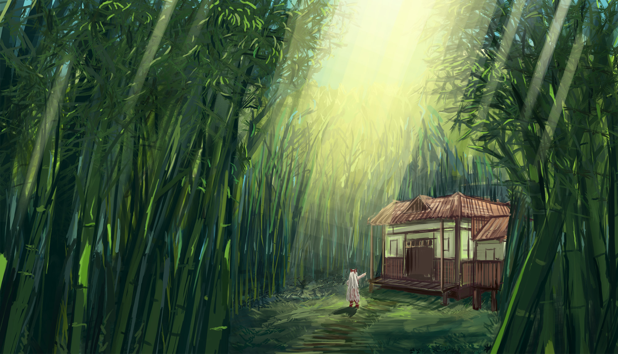 Download Anime Touhou HD Wallpaper