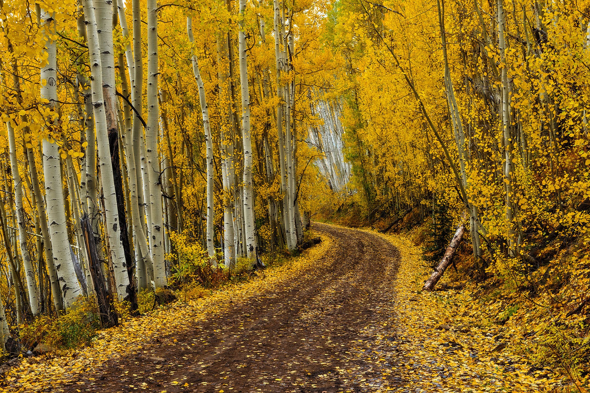 Man Made Road HD Wallpaper