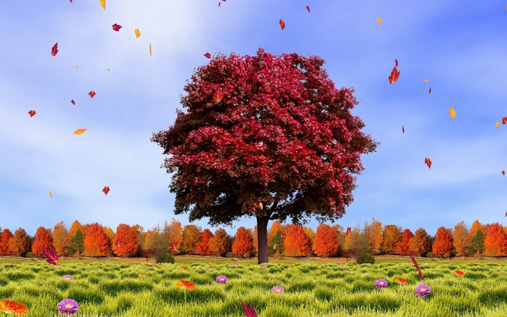 Download Leaf Flower Field Fall Artistic Tree Wallpaper