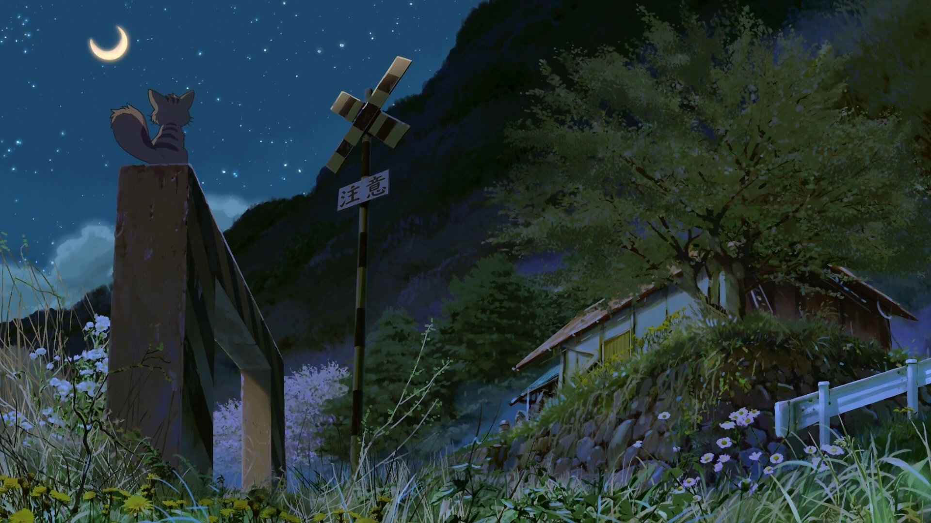 Download Anime Children Who Chase Lost Voices HD Wallpaper | 1920x1080 ...