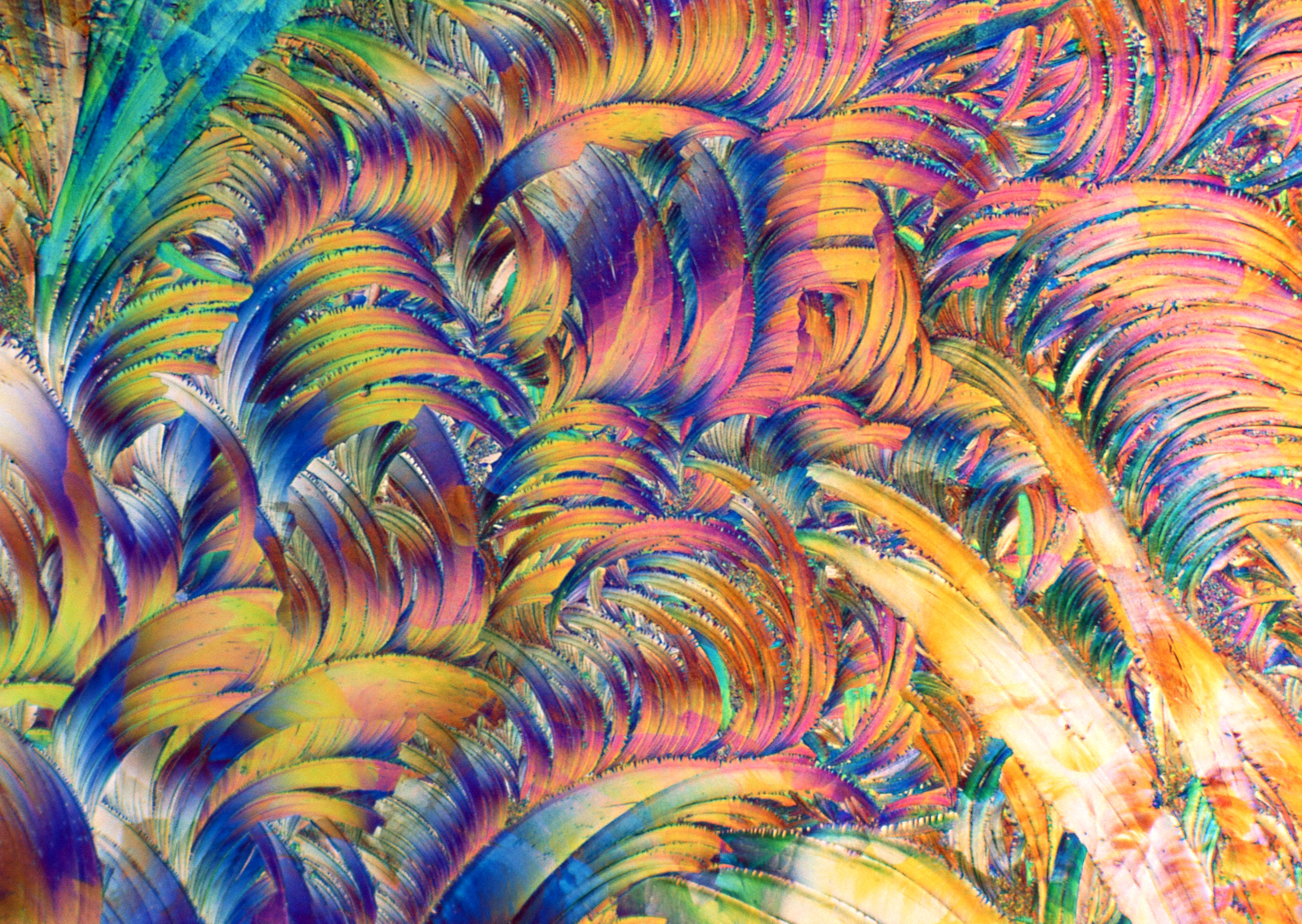 Download Colorful Colors Feather Abstract Fractal HD Wallpaper