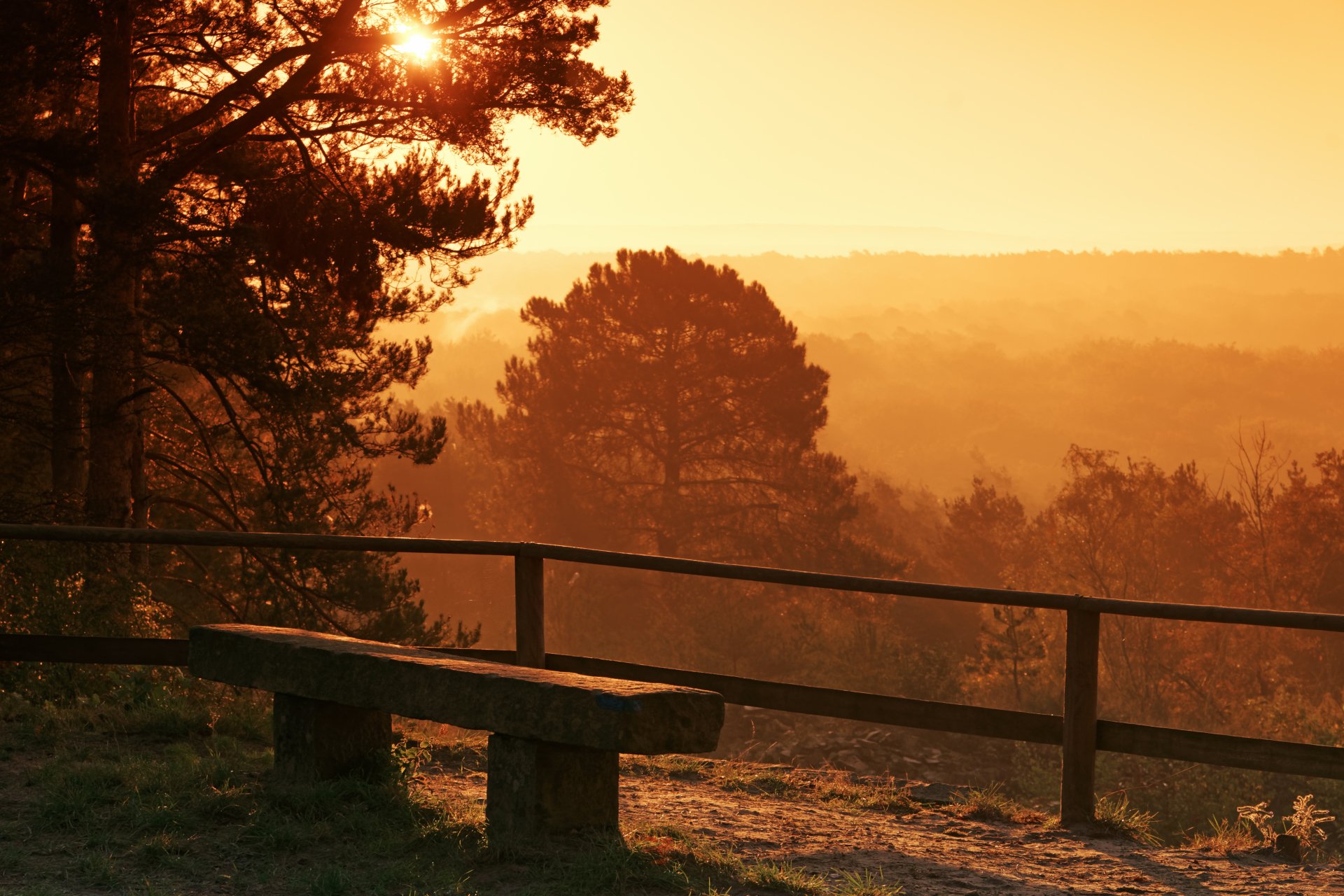 Autumn Bench Vista - 4K Ultra HD Wallpaper