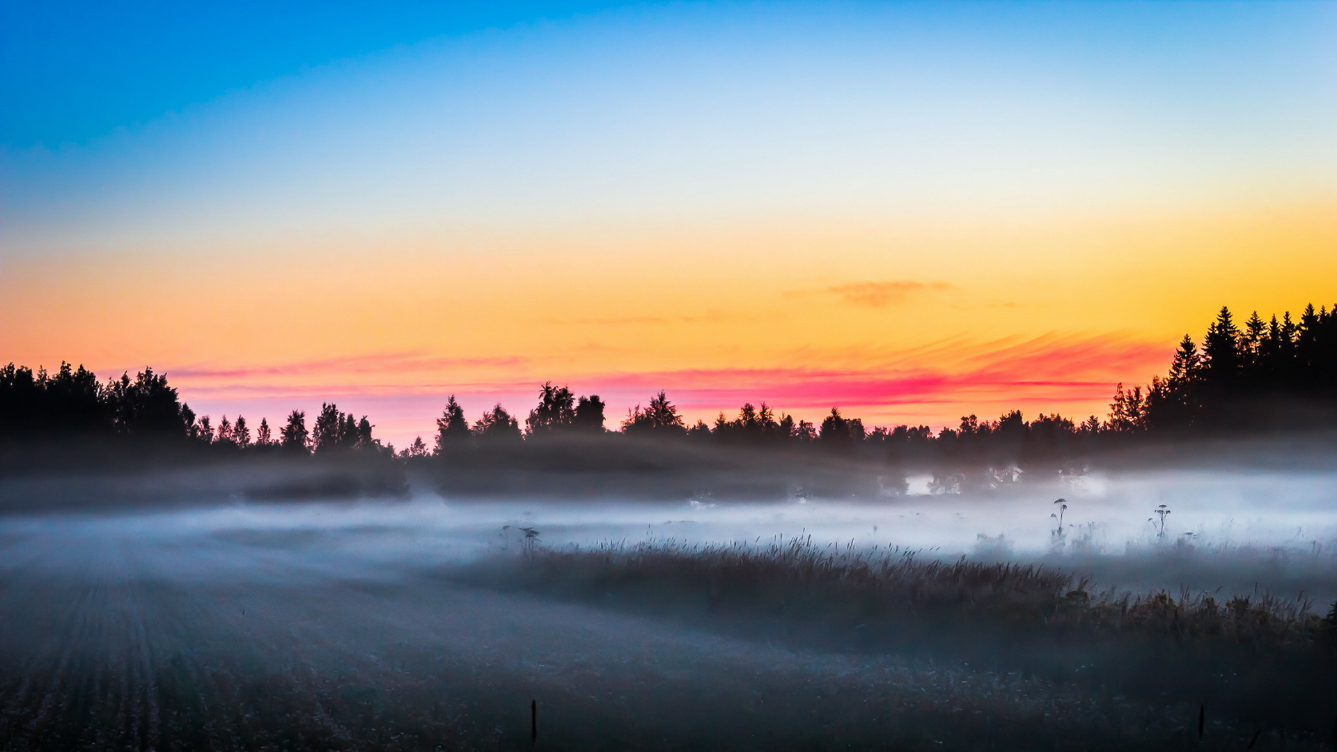 Download Field Sunrise Nature Fog HD Wallpaper