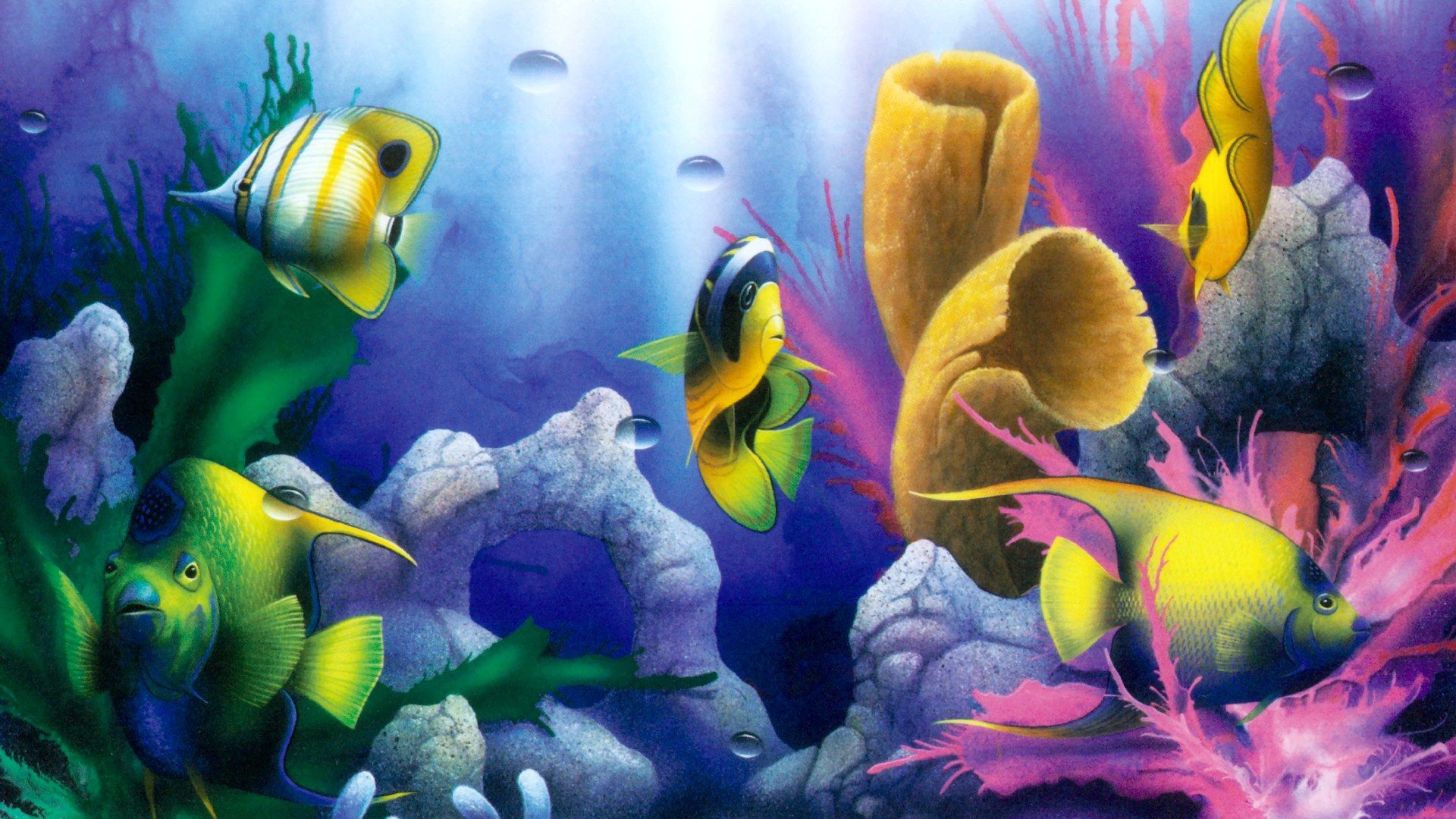 Animated Aquarium Wallpaper Gif