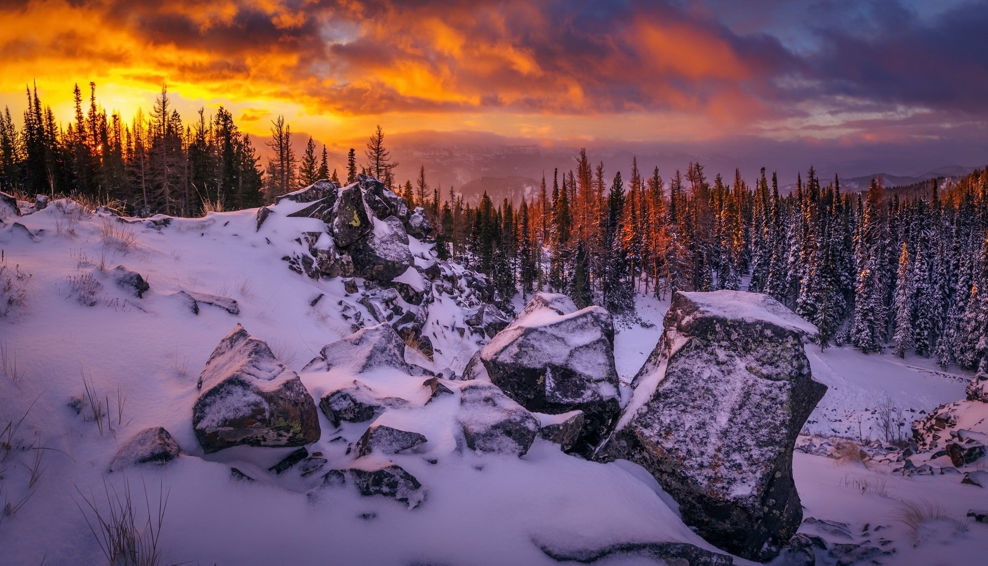 Winter Sunrise Over Snow-Covered Forest HD Landscape Wallpaper