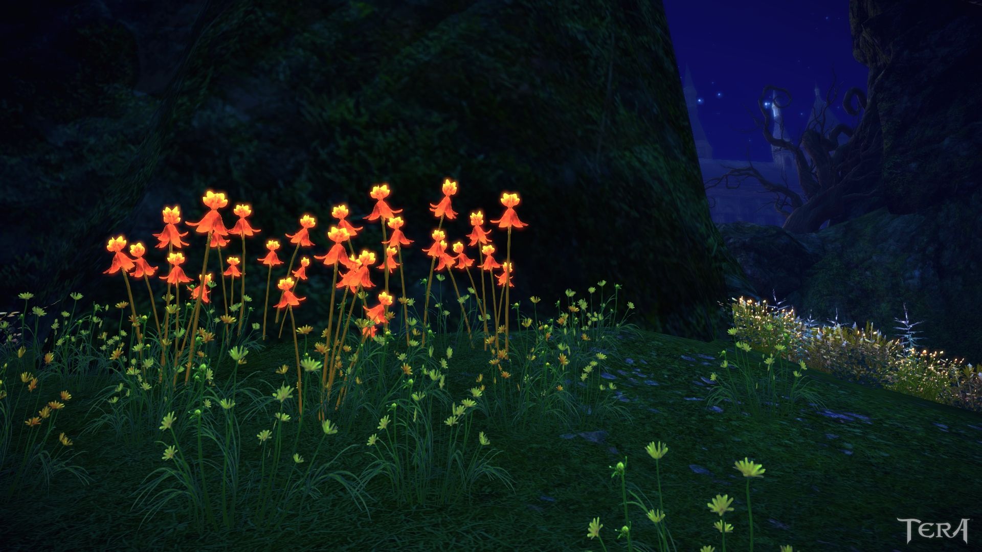 Download Orange Flower Meadow Flower Video Game Tera HD Wallpaper