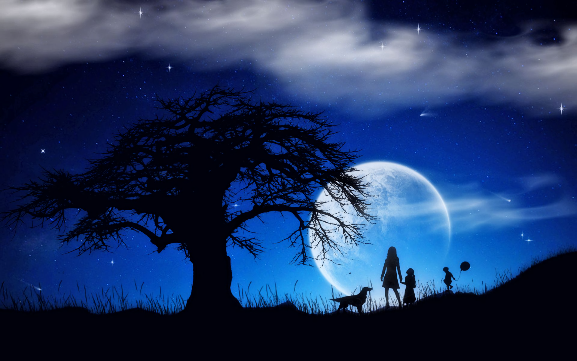 Enchanted Night Silhouette HD Wallpaper