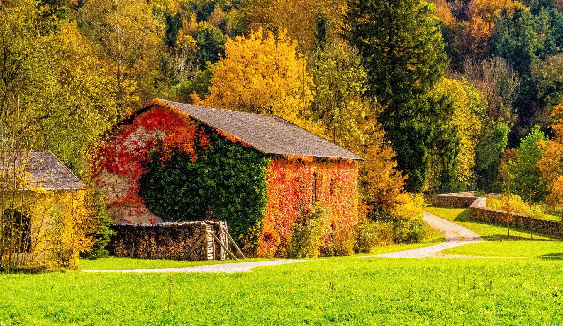 Autumn Serenity: 4K Ultra HD Rustic House Amid Vibrant Fall Trees ...