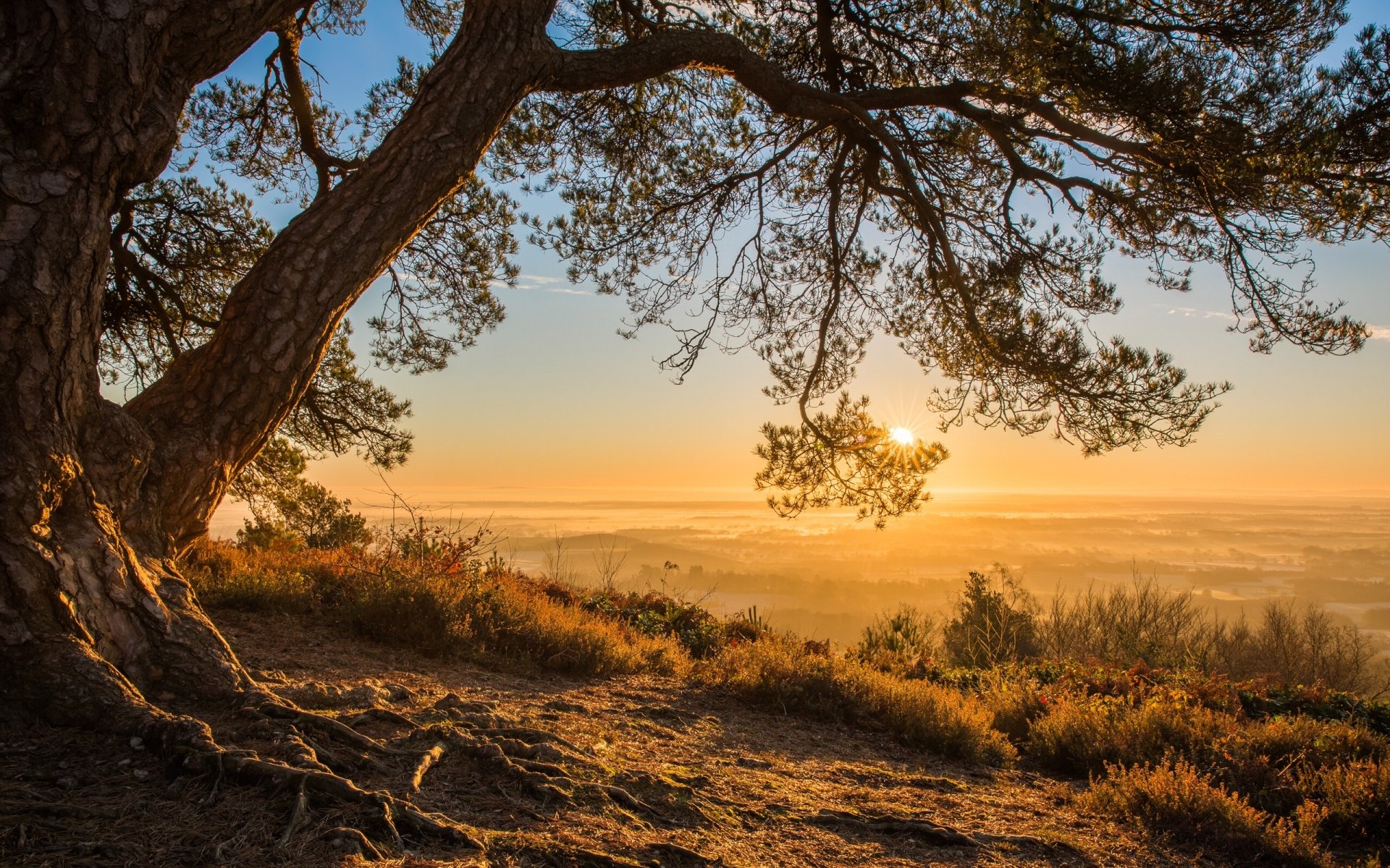 Sunrise Horizon Landscape HD Wallpaper