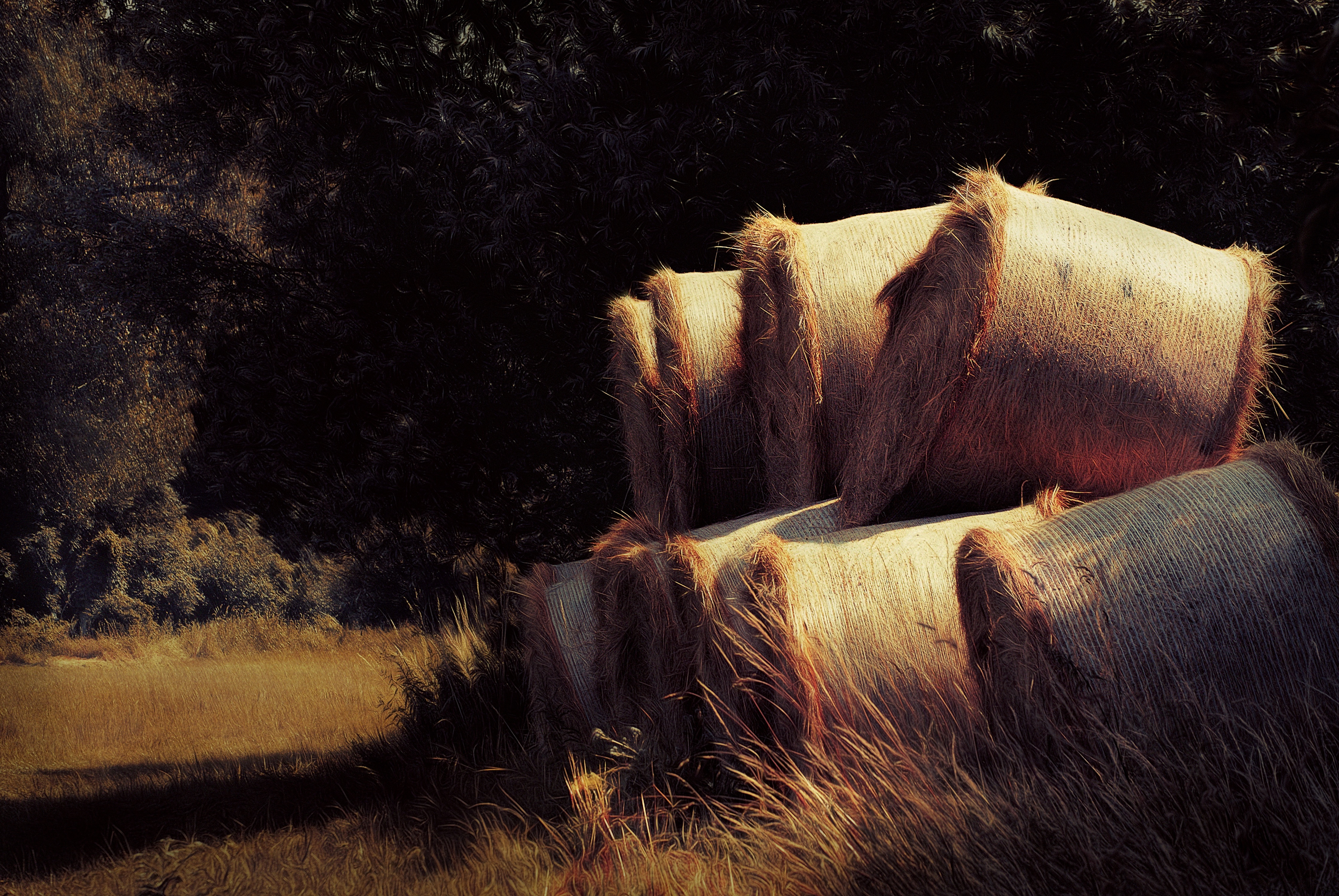 Download Nature Haystack 4k Ultra HD Wallpaper