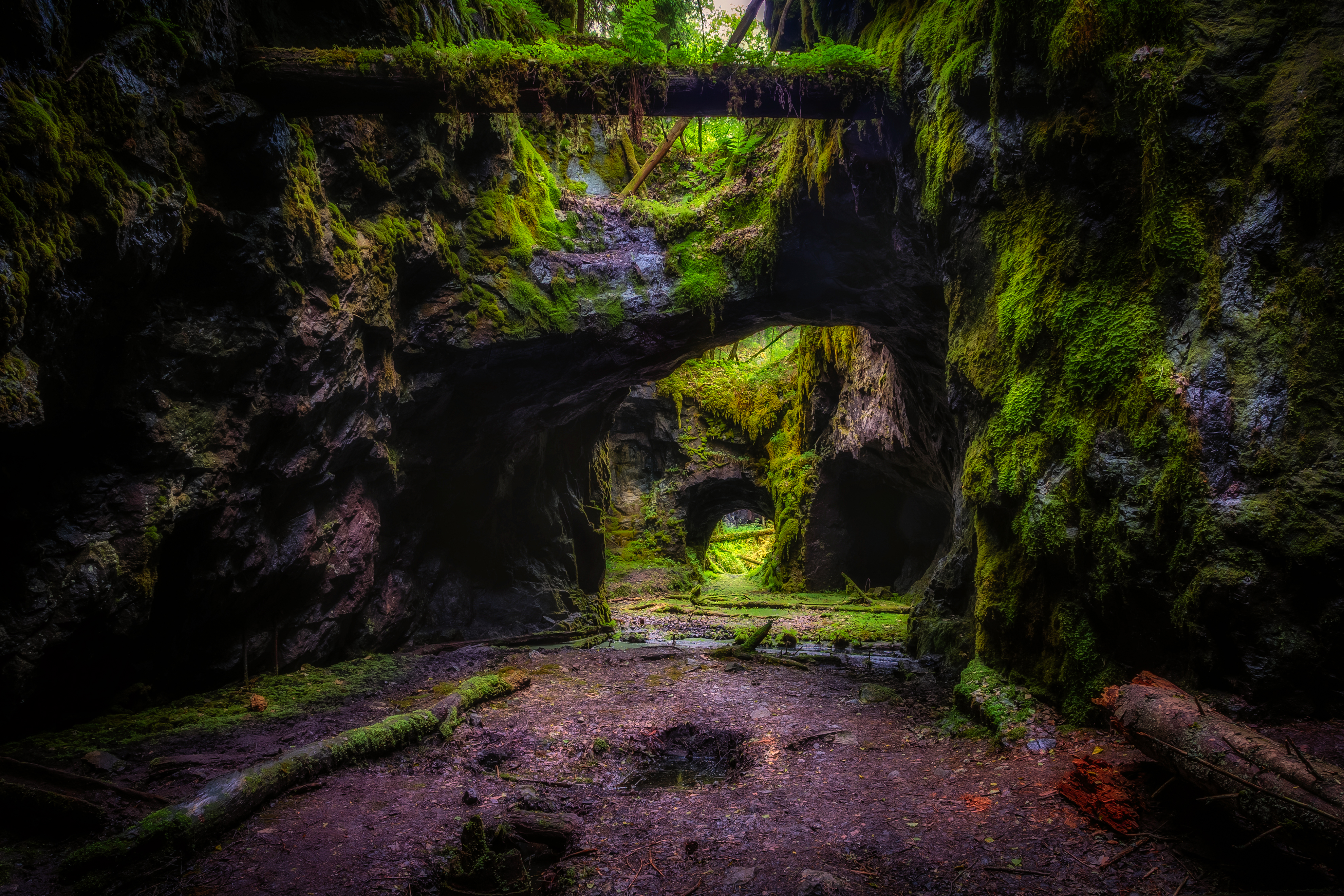 Download Moss Nature Arch 4k Ultra HD Wallpaper