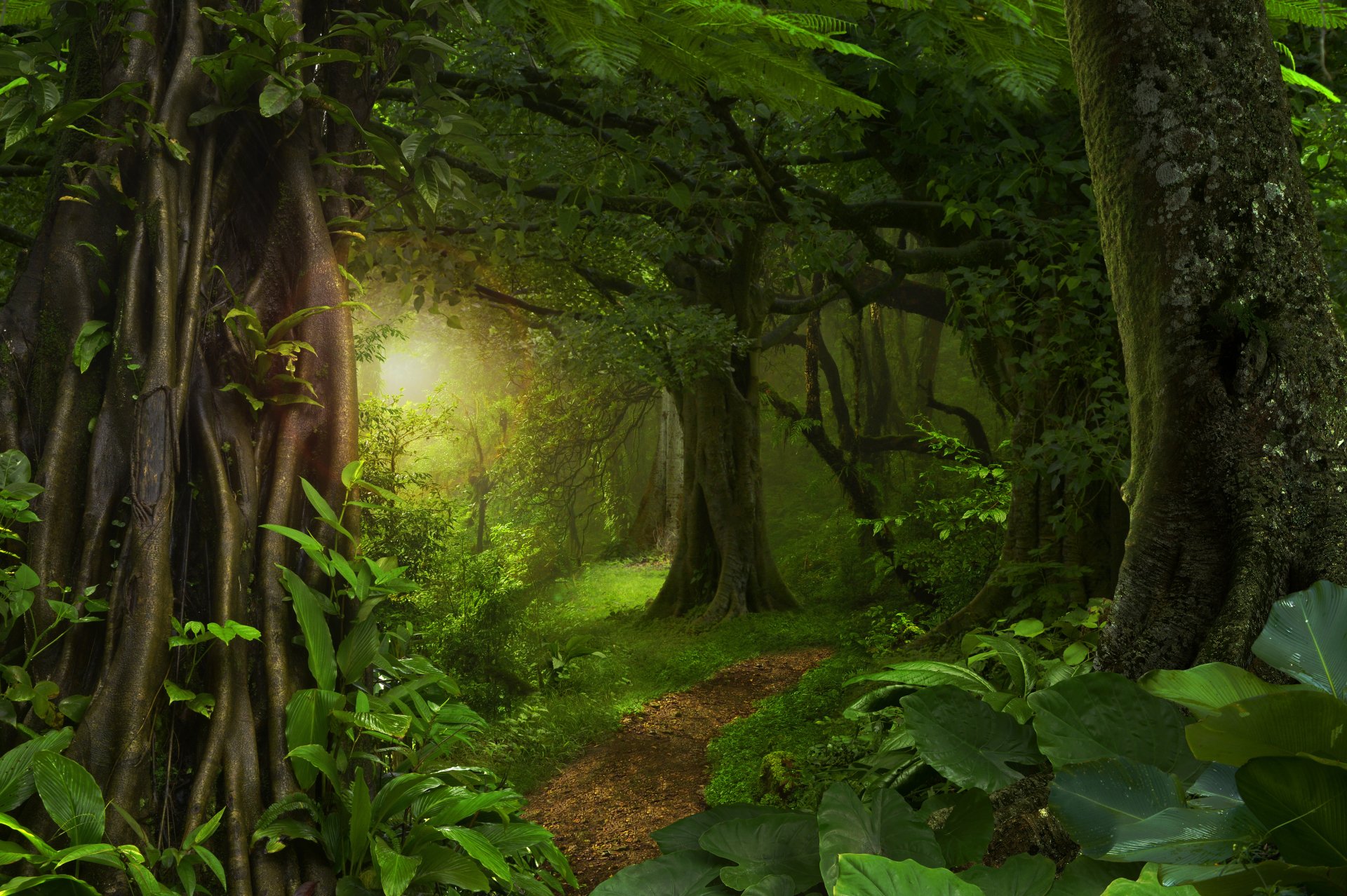 Enchanting Forest Path - 4K Ultra HD Wallpaper