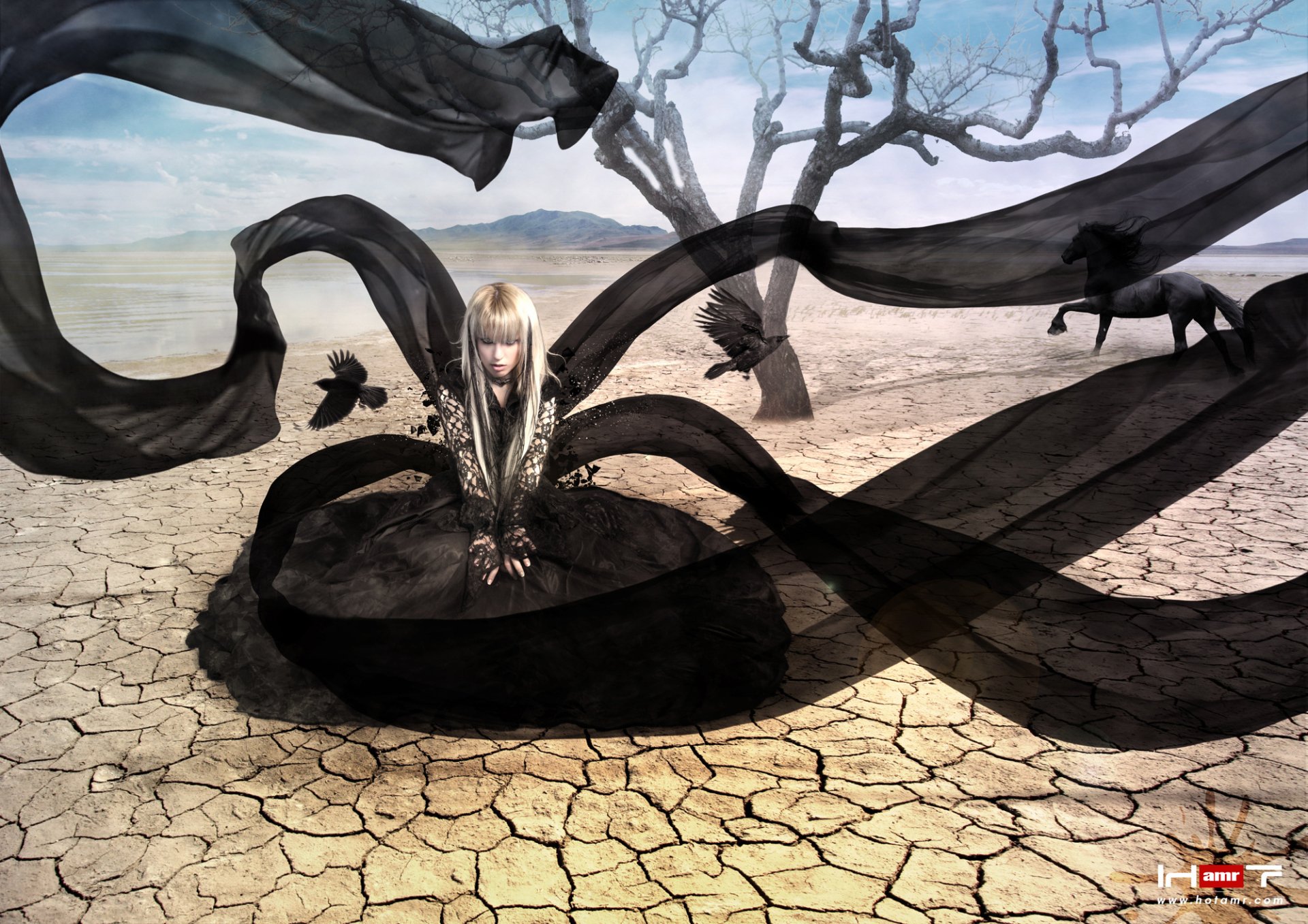 Download Black Dress Horse Raven Black Desert Gothic Fantasy Woman HD ...