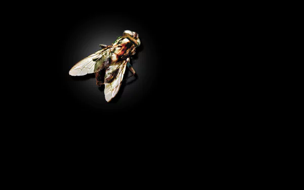 The Fly (1986) Wallpapers