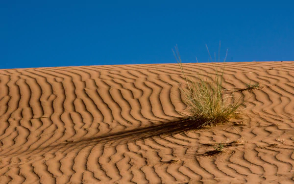 [50+] Sahara 4k Wallpapers
