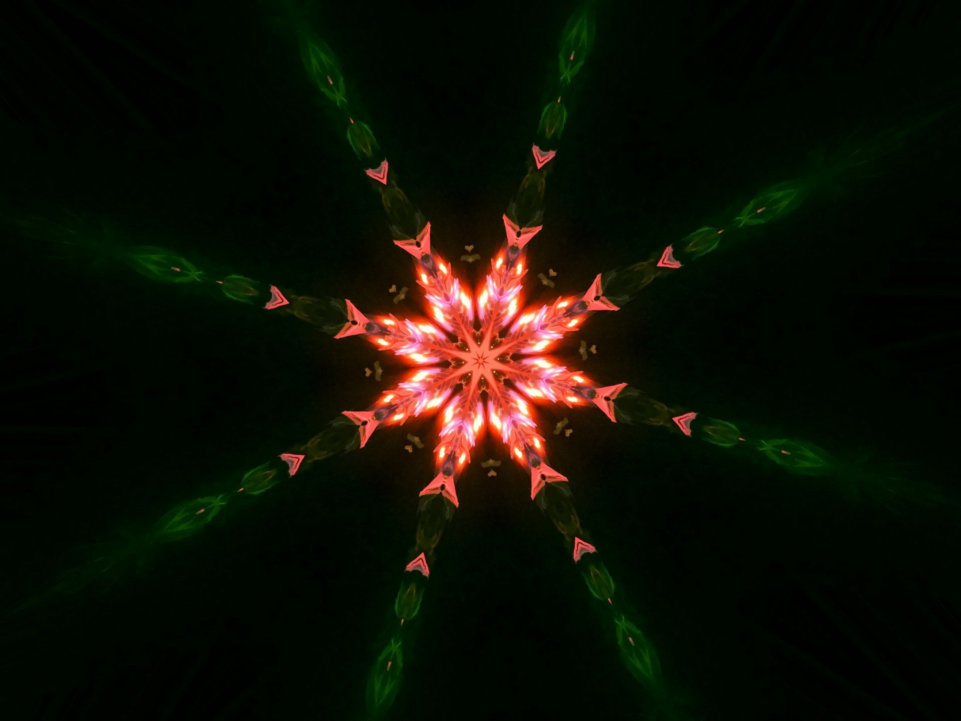 Star Flower by lonewolf6738