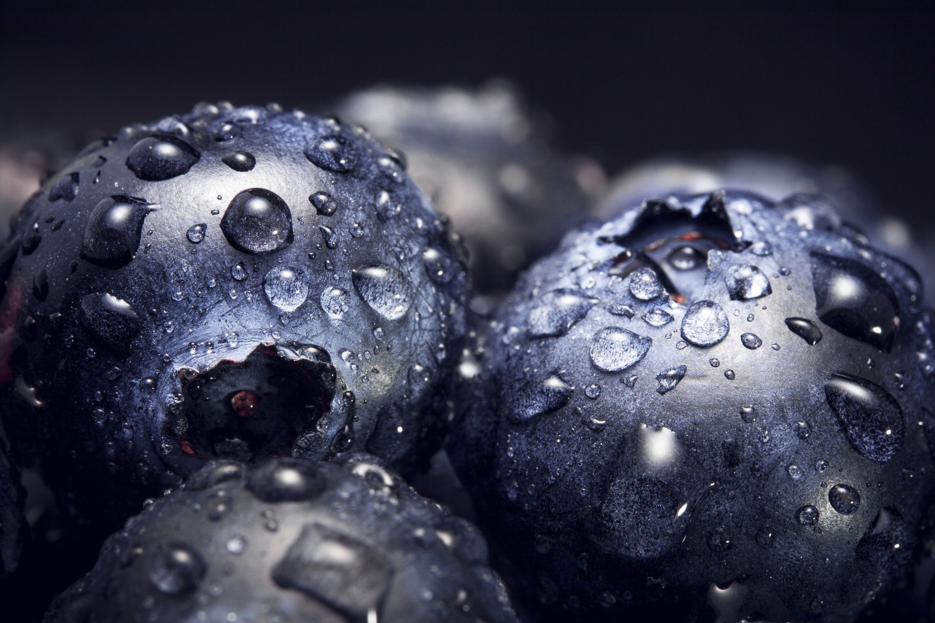 Download Water Drop Macro Fruit Berry Food Blueberry 4k Ultra HD Wallpaper