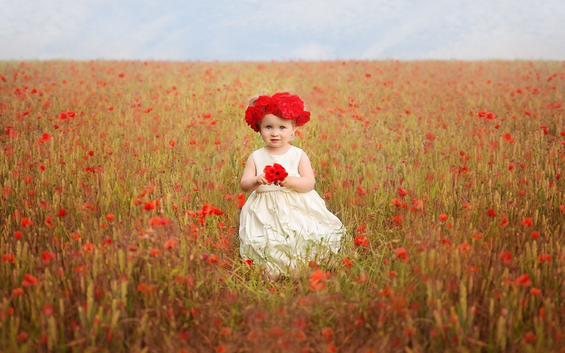 Download Red Flower Cute Field Poppy Wreath Little Girl Photography ...