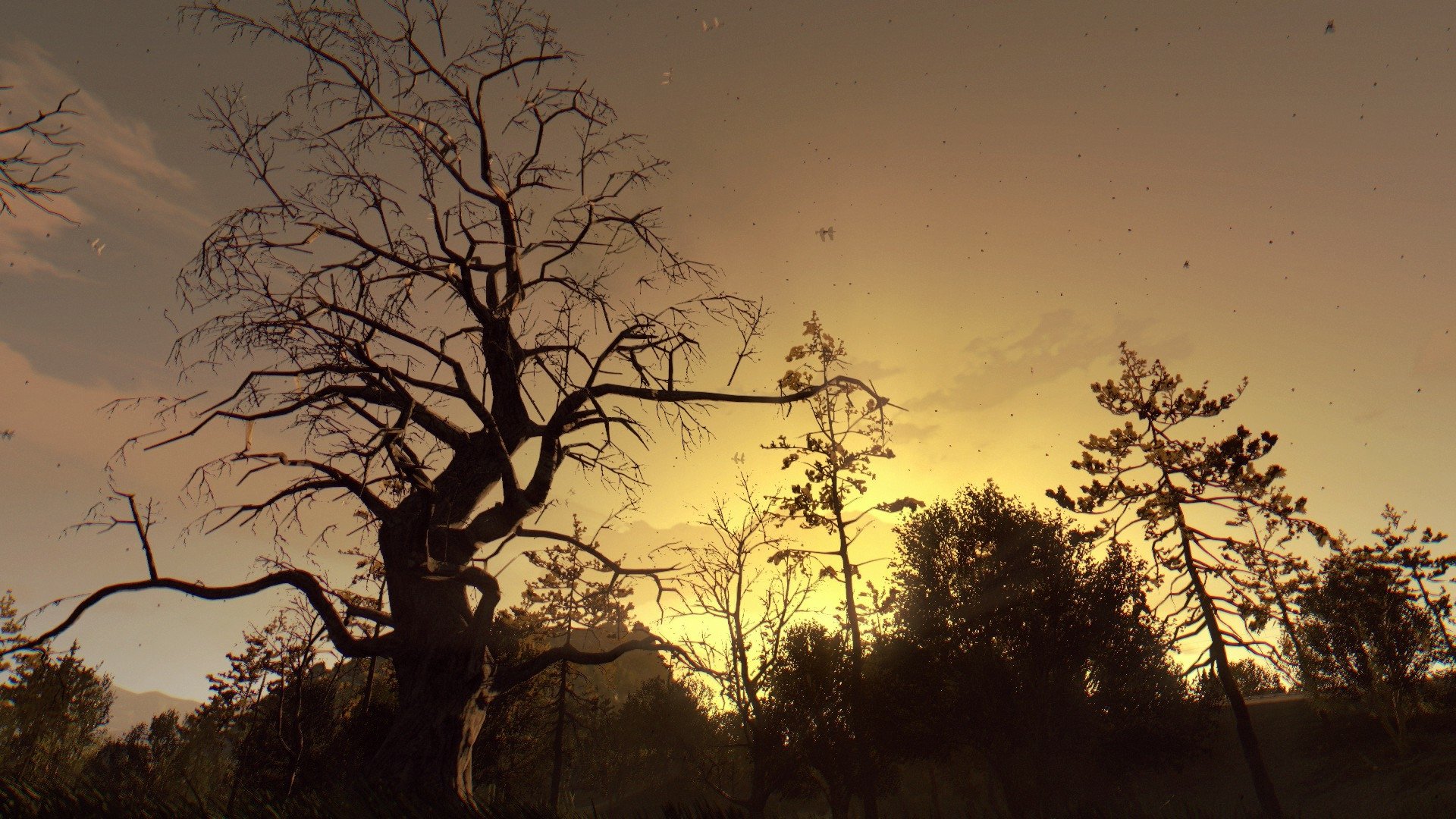 Dying Light HD Wallpaper: Haunting Tree Silhouettes at Sunset ...