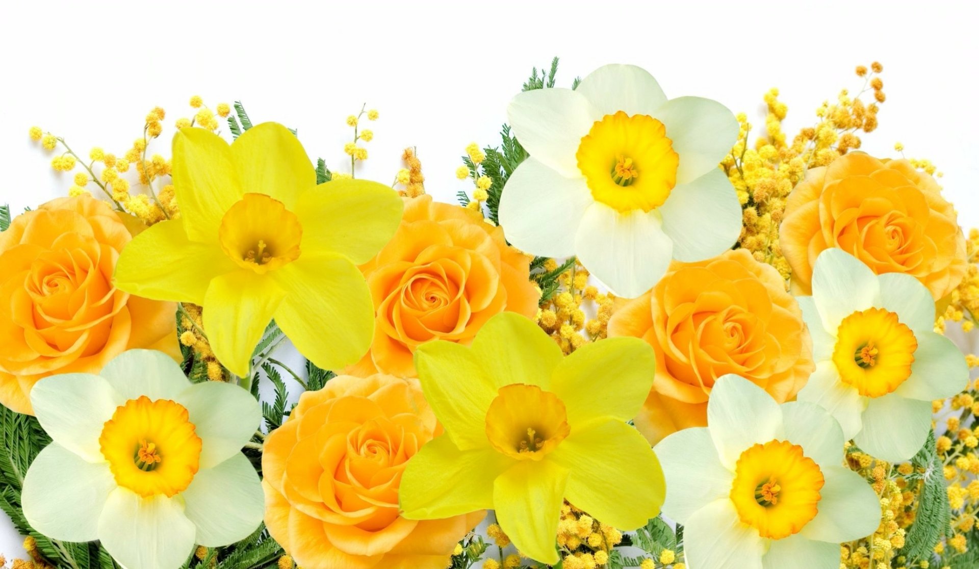Download Yellow Flower White Flower Rose Daffodil Man Made Flower HD ...
