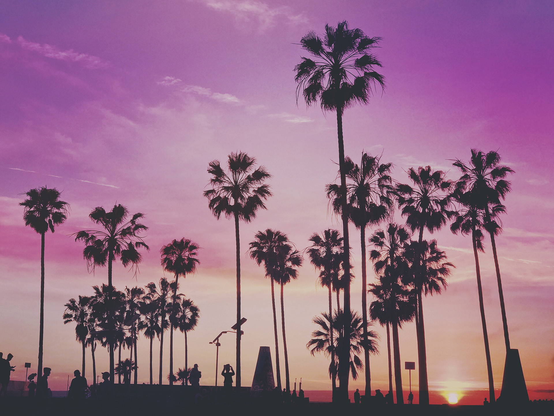 Download Horizon Purple Palm Tree California Beach Photography Sunset ...