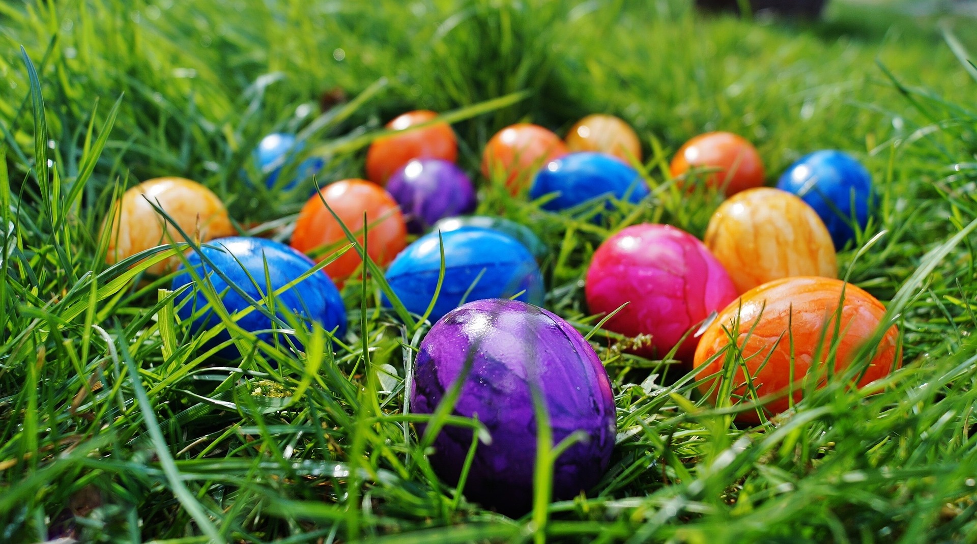 Vibrant Easter Eggs HD Wallpaper: Celebrate the Holiday Spirit