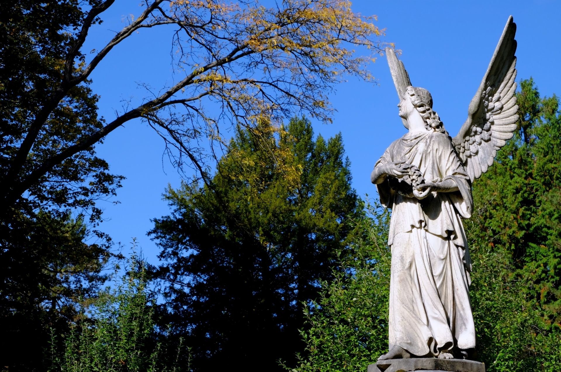 Download Angel Statue Man Made Angel Statue HD Wallpaper by Couleur